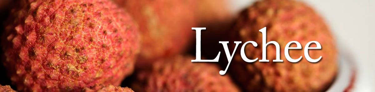Lychee Trees
