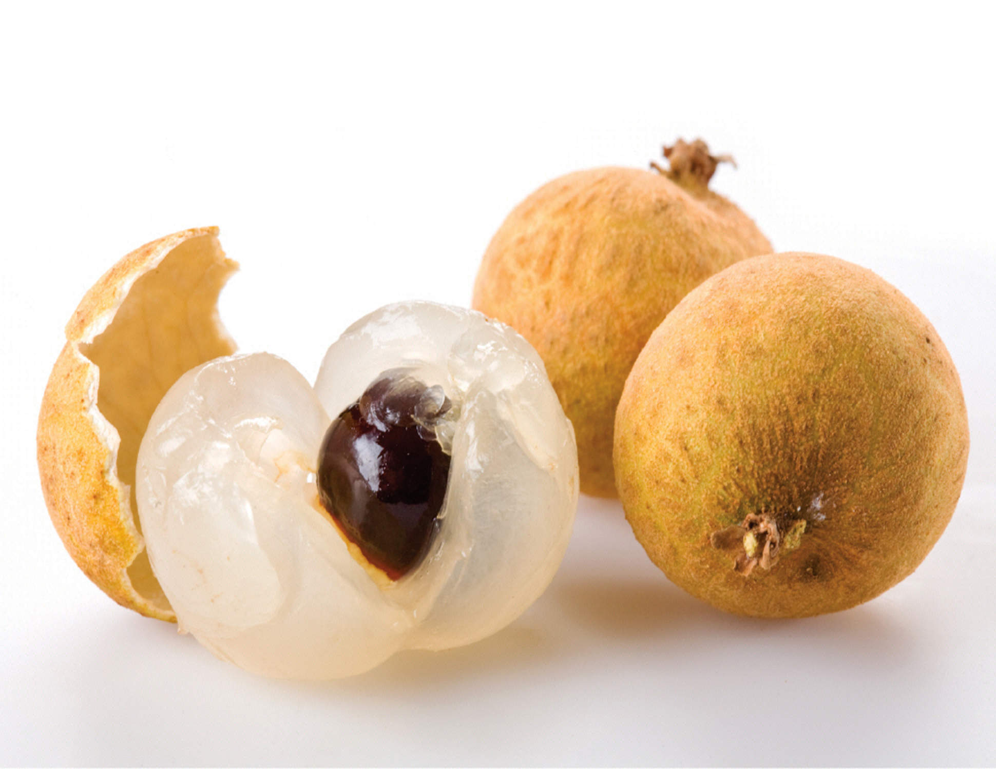 Longan Tree Diamond River Variety Air-Layered