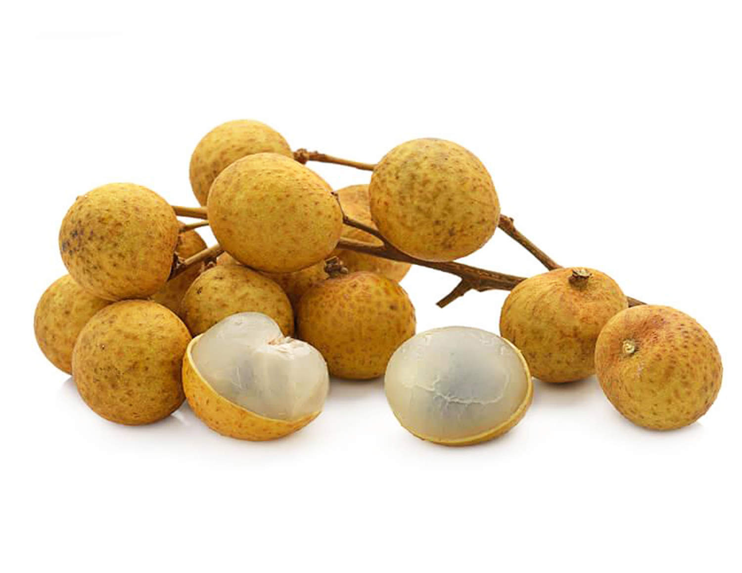 Longan Tree Kohala Variety Air-Layered