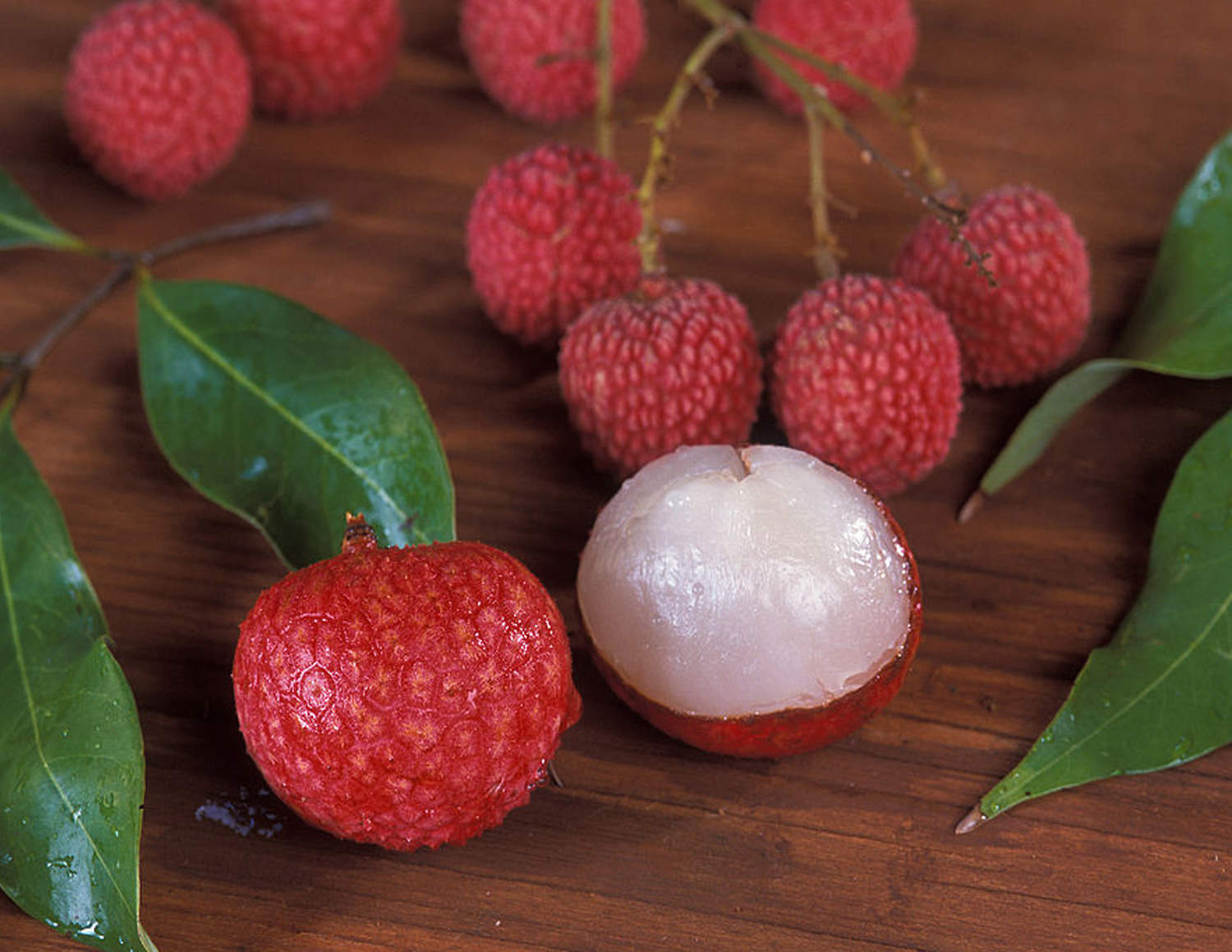 Lychee Tree Mauritius Variety Air-Layered