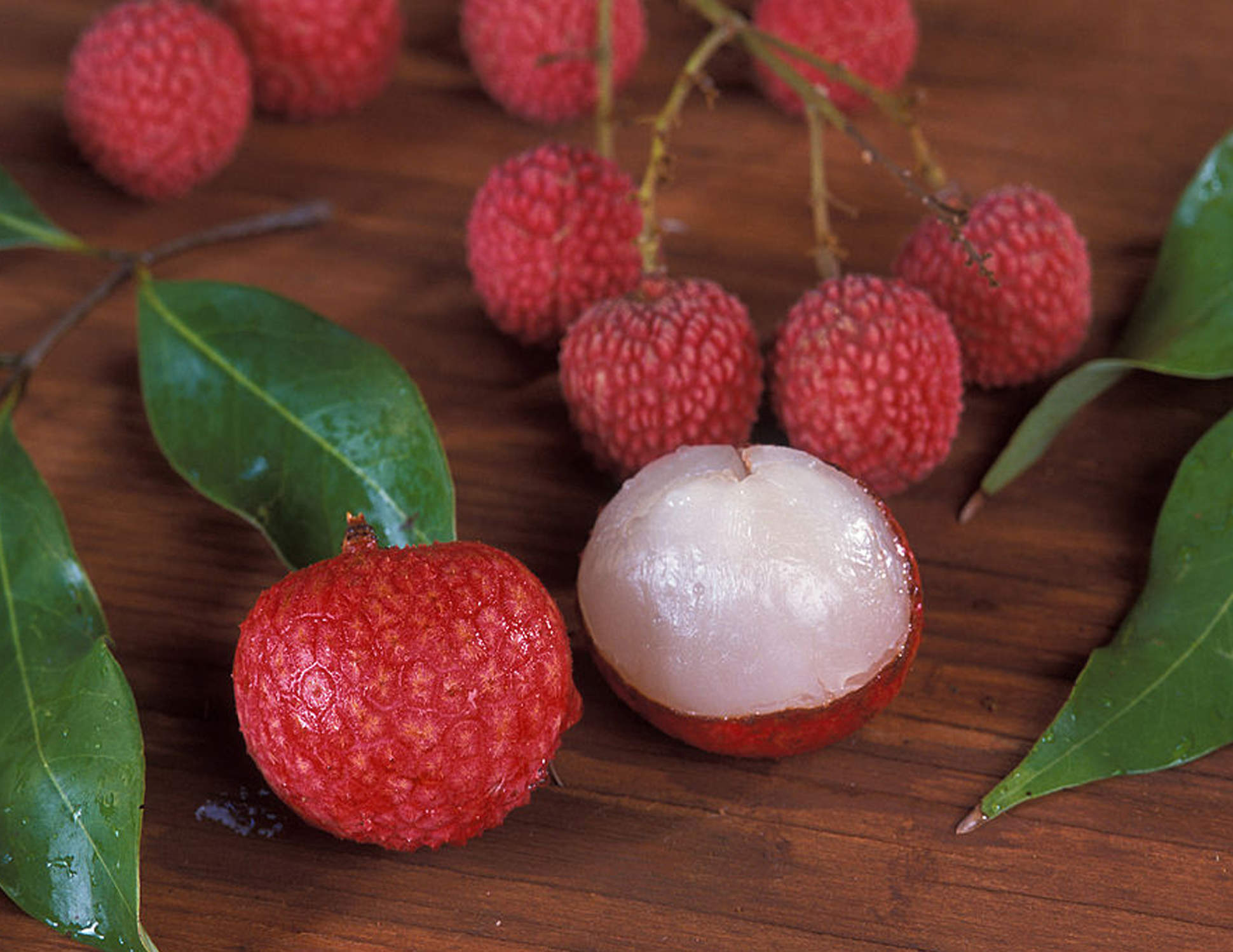 Lychee Tree Mauritius Variety Air-Layered