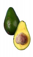 Avocado Tree Lula Variety Grafted