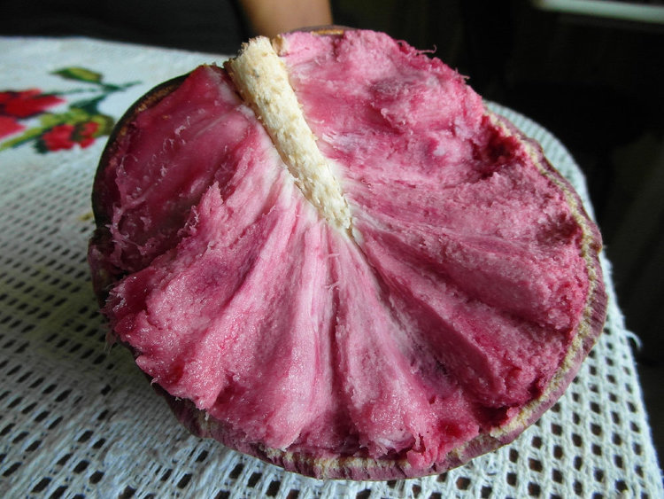 Ilama Fruit