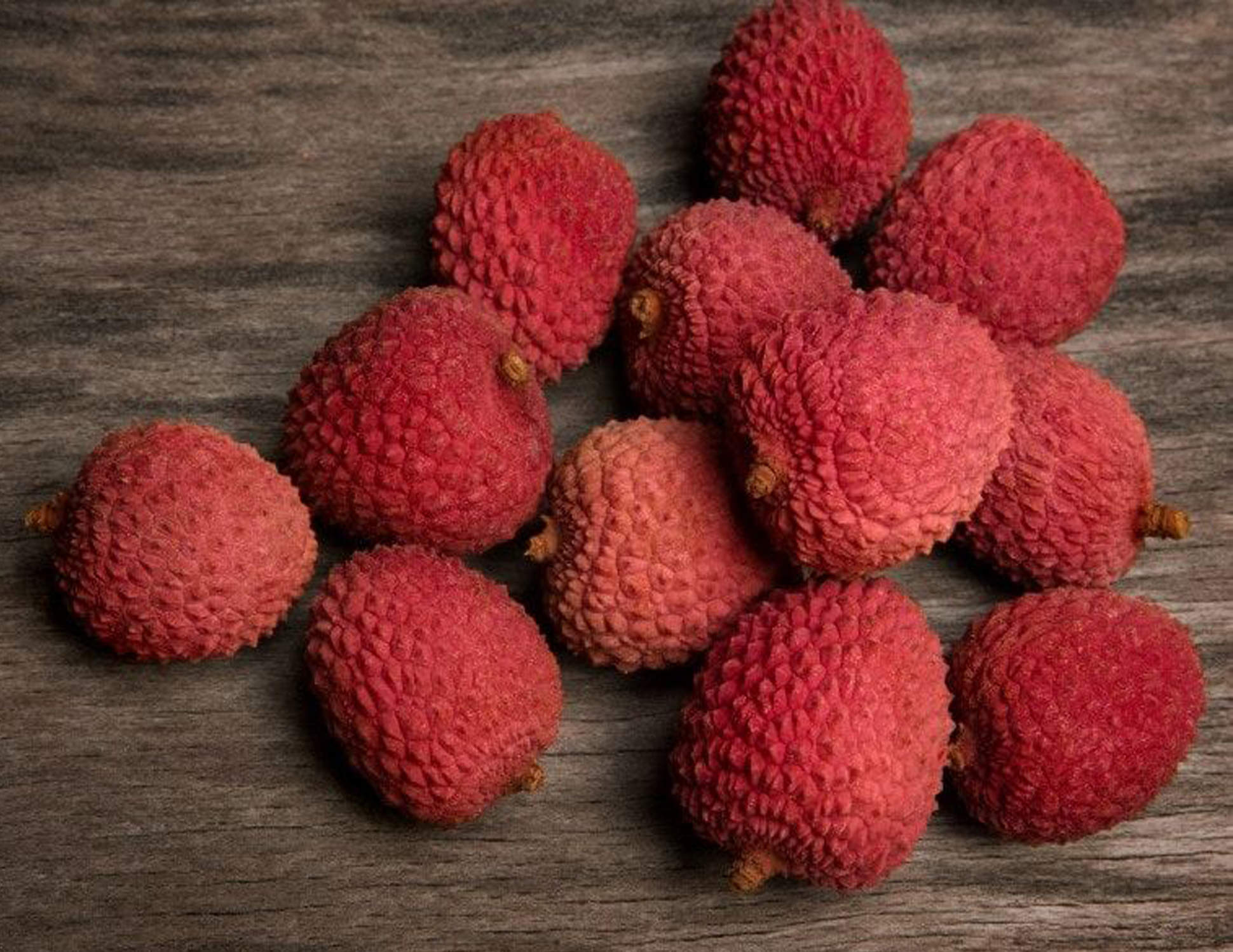 Lychee Tree Emperor Dwarf Variety Air-Layered