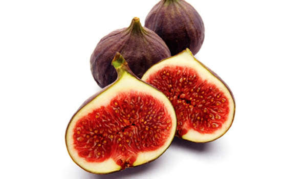 Fig Tree Brown Turkey Variety