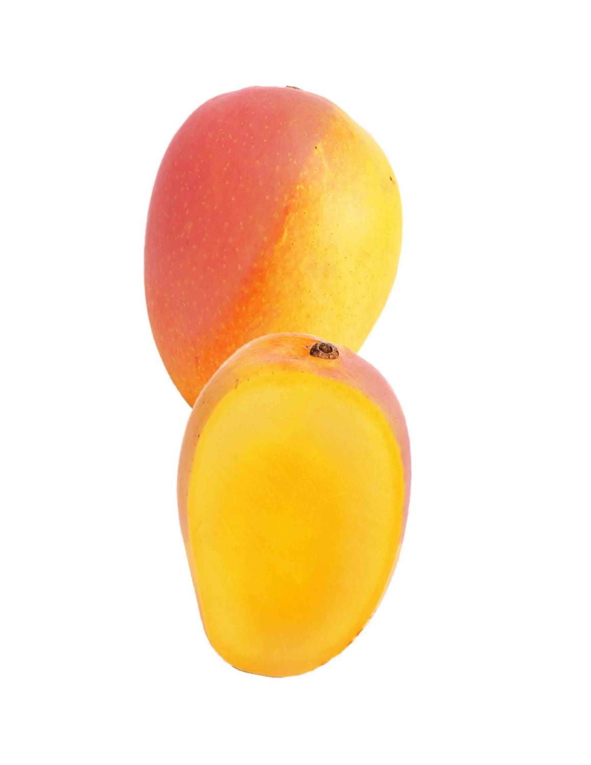 Mango Tree GuaMango (Guava variety Mango) Grafted